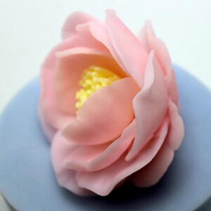 3d Magnolia Silicone Mold. Southern Magnolia Silicone Mold for Soap ...