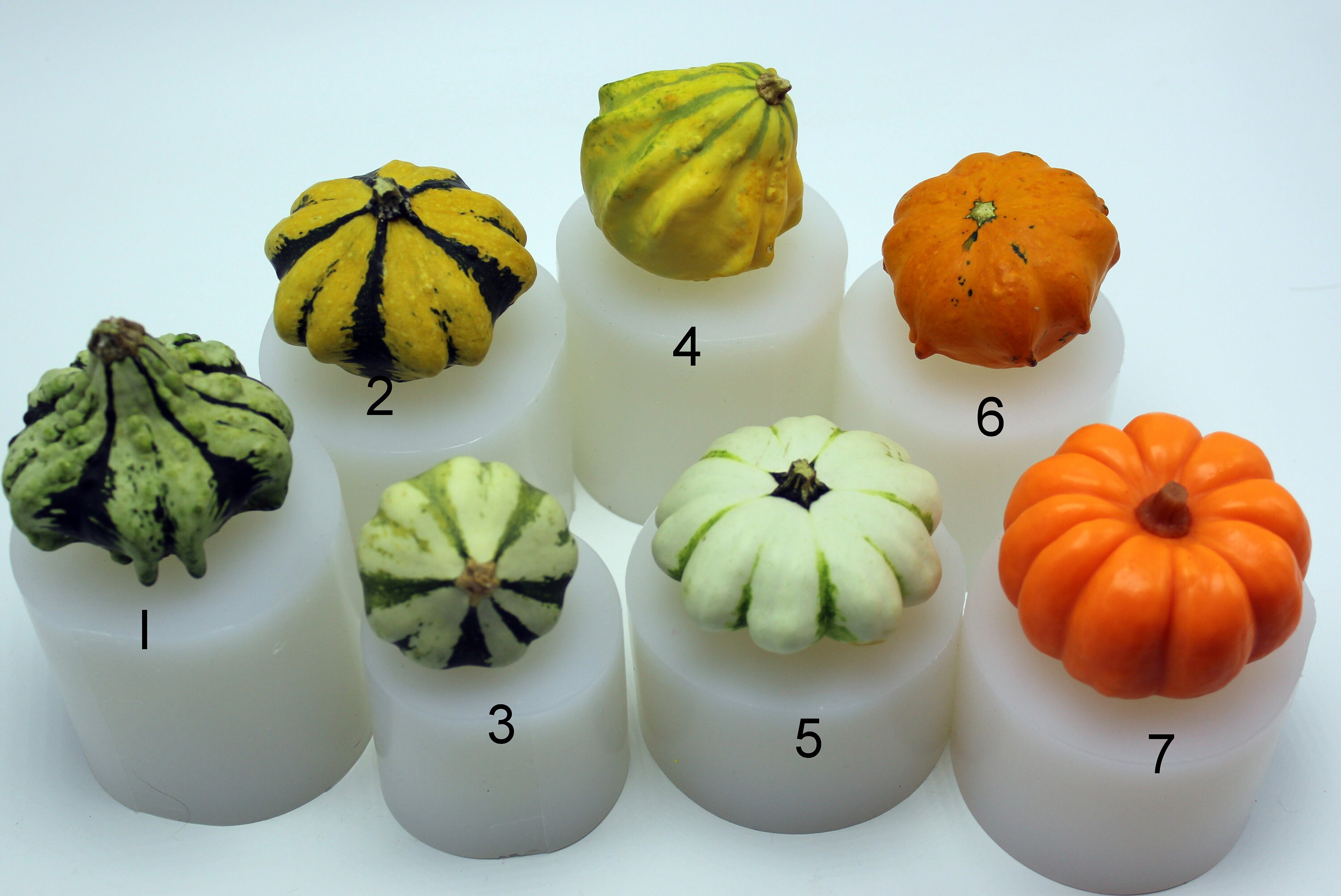 Gourds Pumpkin Silicone Mold. Halloween Squash Soap Mold. Wax | Etsy