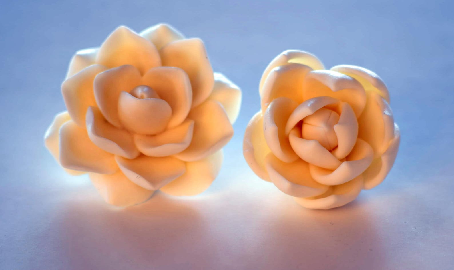 Gardenia Set of Two Silicone Molds. Flower 3d Food Grade Mold for Zefir ...