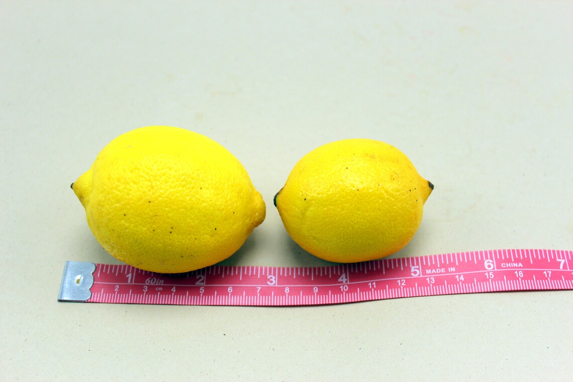 3d Whole Lemon Silicone Mold. Realistic 3d Lemon Fruit Mold. Epoxy ...