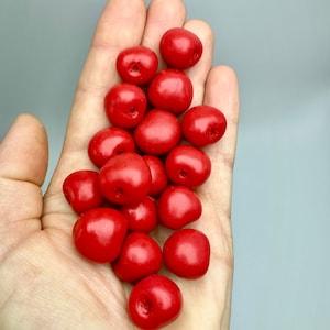 Small Cherry Silicone Mold. Embeds Cherry Silicone Mold. Craft Mold. - Etsy