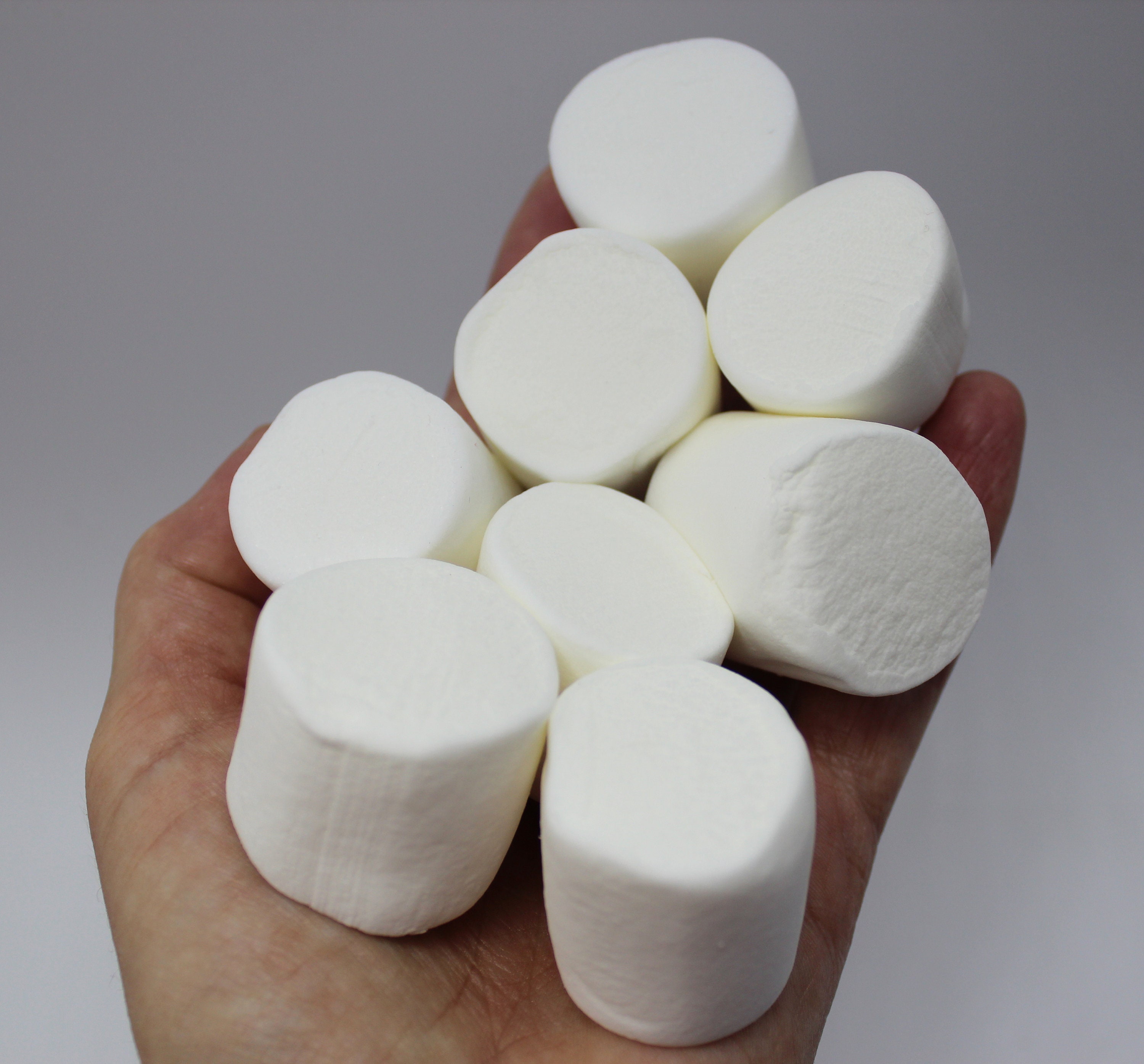 Large Marshmallow Mold. Jet-puffed Marshmallow Silicone Mold for Kraft ...
