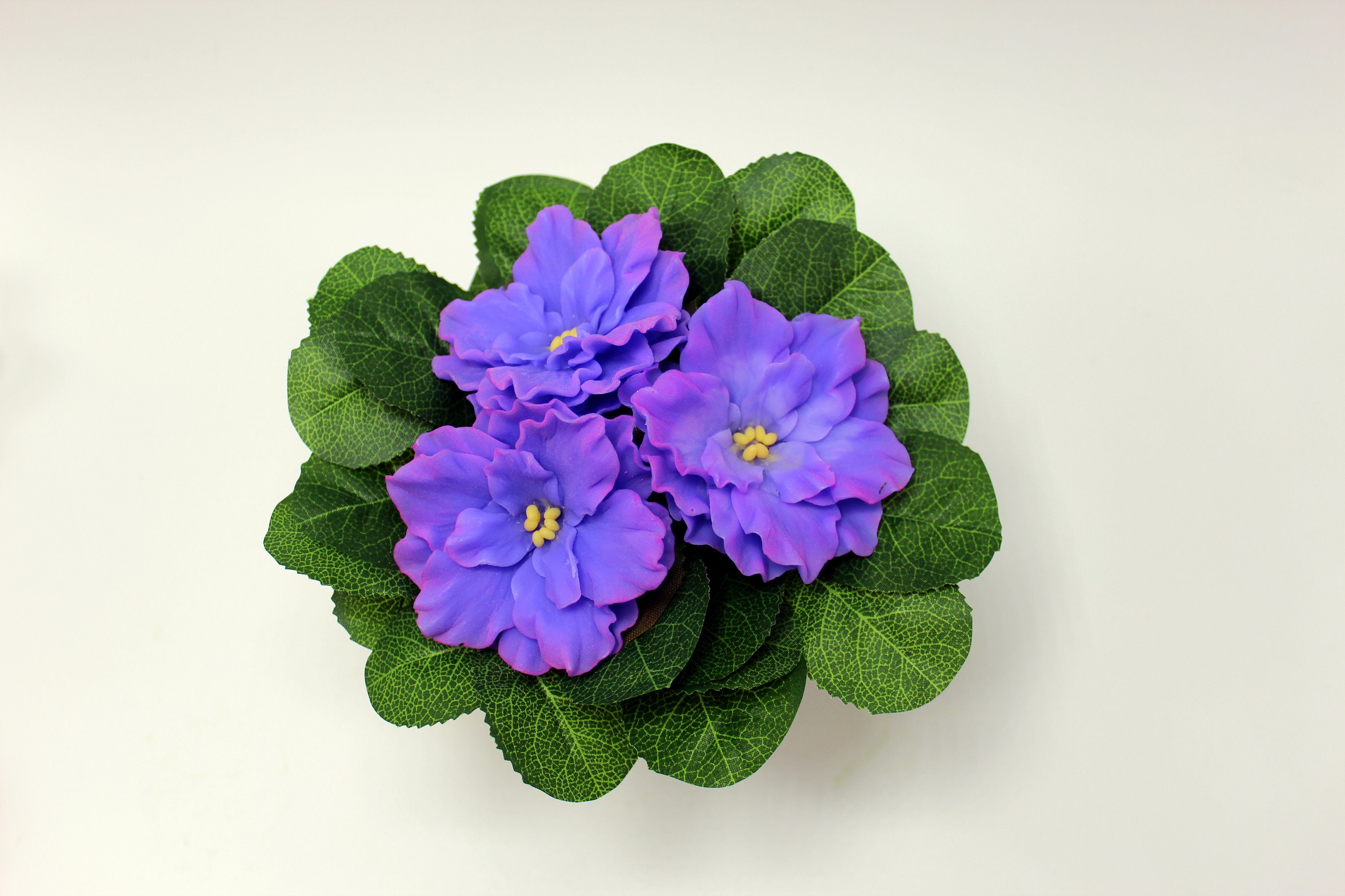 African Violet Silicone Mold. Saintpaulia Flower Silicone Mold. 3d ...