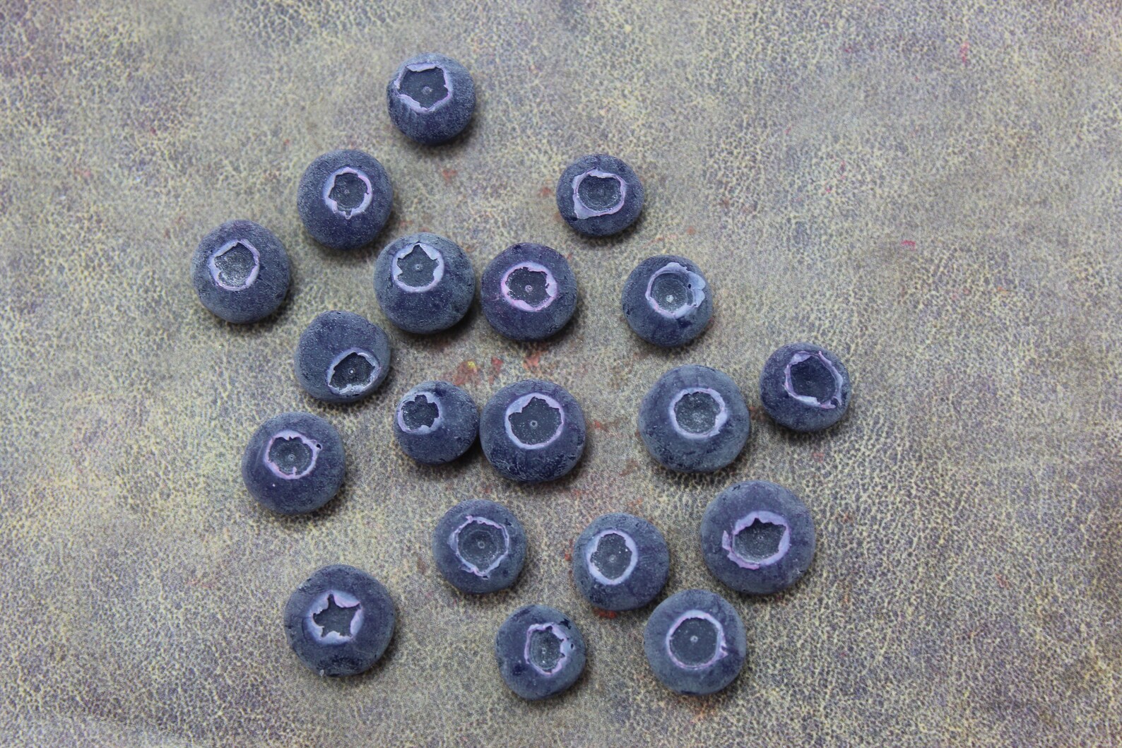 SMALL Blueberry 3D Silicone Mold. Whole Blueberry Mold. | Etsy