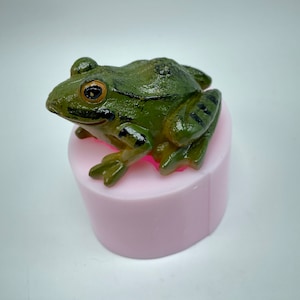 Small 3d Frog Silicone Mold. 3d Frog Mold for Soap Concrete Epoxy Resin ...