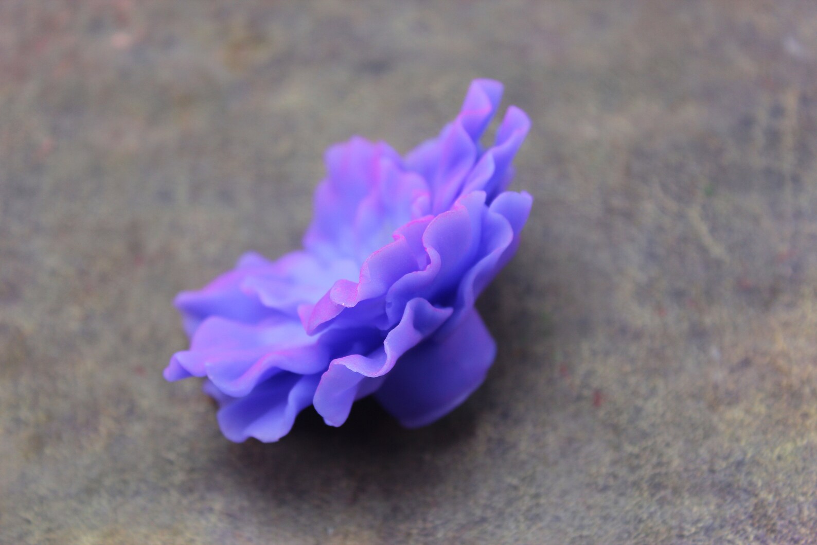 African Violet Silicone Mold. Saintpaulia Flower Silicone Mold. 3d ...