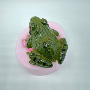 Small 3d Frog Silicone Mold. 3d Frog Mold for Soap Concrete Epoxy Resin ...
