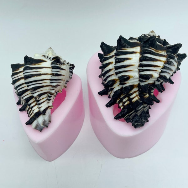 3d Seashell Silicone Mold - Etsy