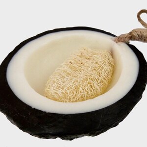 3d Coconut Silicone Mold. Coconut Fruit Mold. Wax Candles Molds. Epoxy ...
