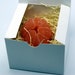 Whole Mandarin Silicone Mold. 3d Tangerine Mold. - Etsy