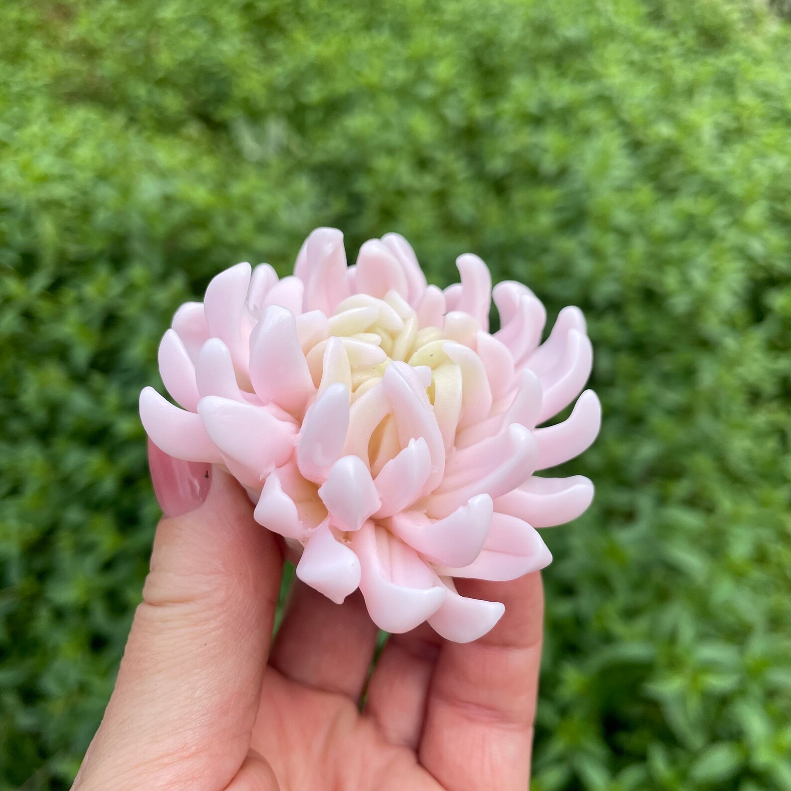 Chrysanthemum Aster Silicone Mold. Floral 3d Food Grade Mold for Zefir ...