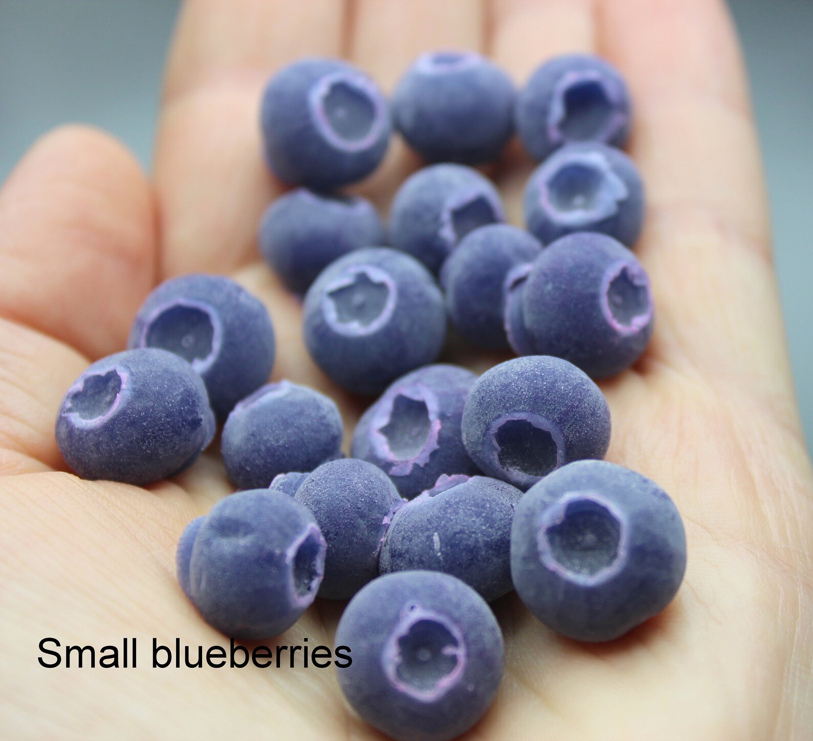 SMALL Blueberry 3D Silicone Mold. Whole Blueberry Mold. Realistic ...