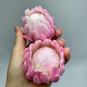 Protea Silicone Mold for Soap Epoxy Resin Chocolate Etc Silicone Mold ...