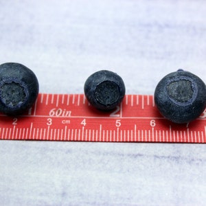 Raspberry Blackberry Blueberry Silicone Mold for Soap. Embeds Berries ...