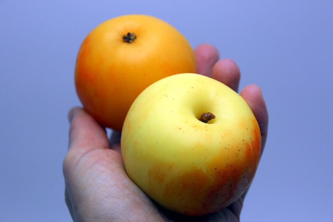 Whole Apple Silicone Mold. Large 3d Fruit Silicone Mold for Soap. - Etsy