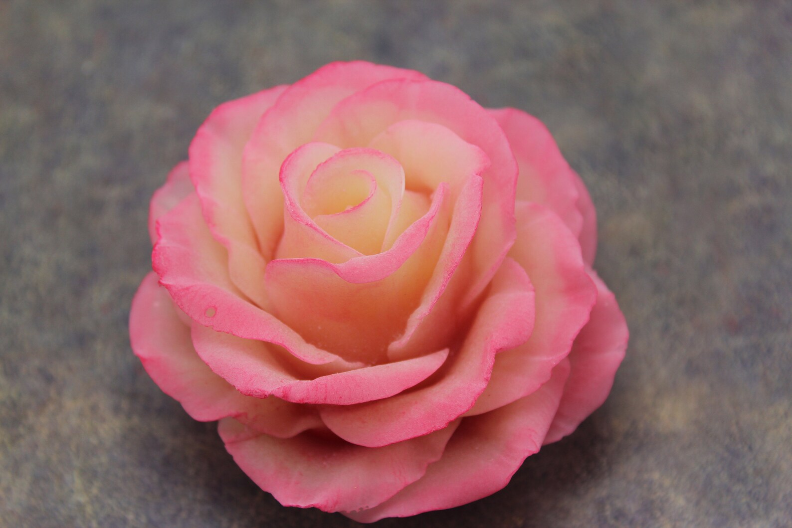 Big Rose Silicone Mold for Soap. Epoxy Resin Mold. Rose Flower - Etsy