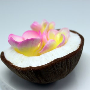 3d Coconut Silicone Mold. Coconut Fruit Mold. Wax Candles Molds. Epoxy ...