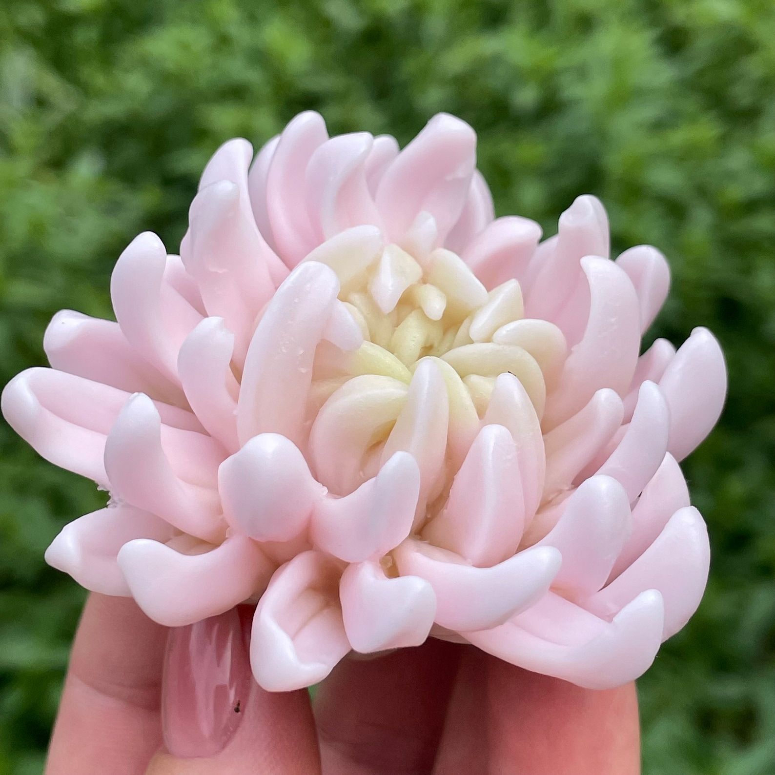 Chrysanthemum Aster Silicone Mold. Floral 3d Food Grade Mold for Zefir ...