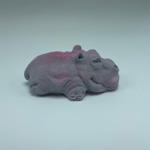 3d Hippo Silicone Mold. 3d Hippocampus Mold for Wax Soap Concrete Epoxy ...