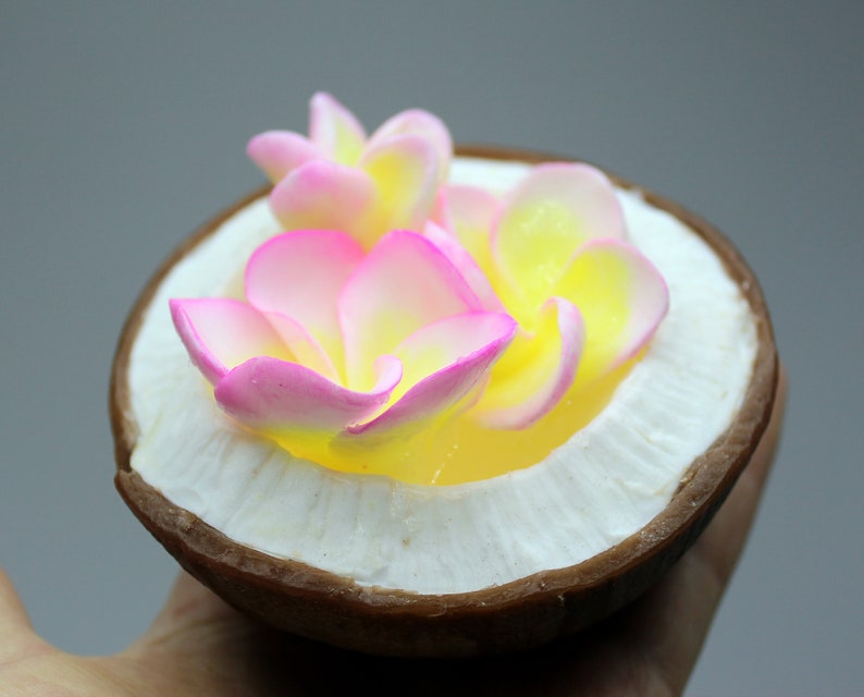 3d Coconut Silicone Mold. Coconut Fruit Mold. Wax Candles Molds. Epoxy ...