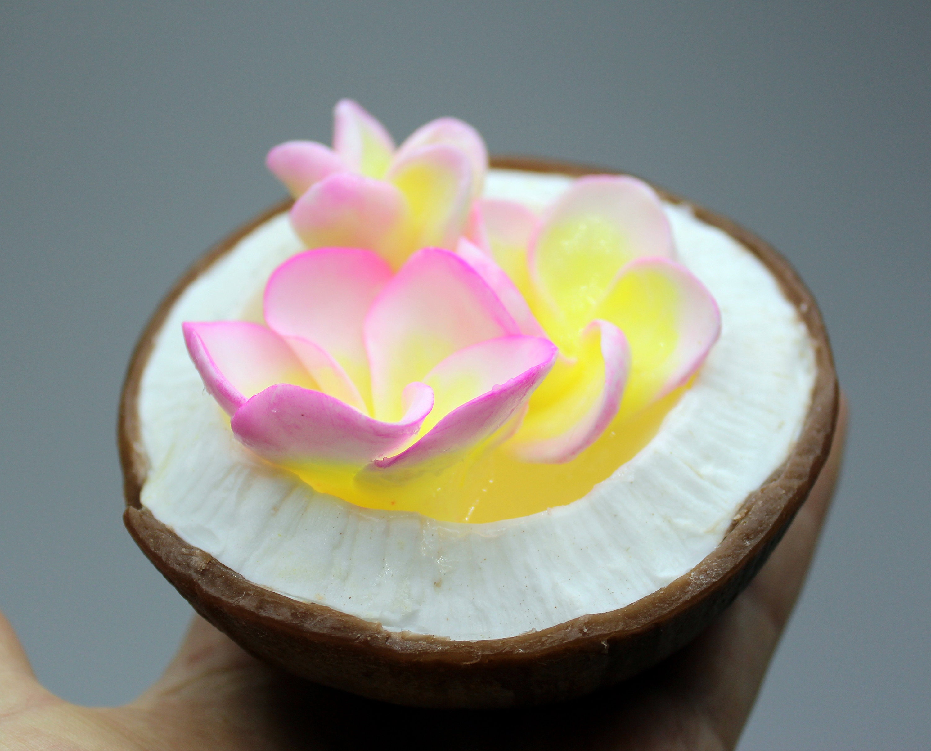 3d Coconut Silicone Mold. Coconut Fruit Mold. Wax Candles - Etsy Canada