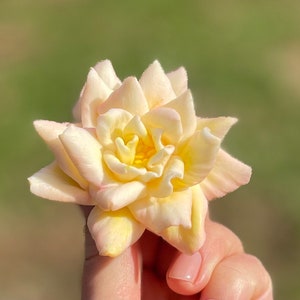 Super Realistic 3d Rose Silicone Mold. Rose Flower Silicone Mold. Craft ...