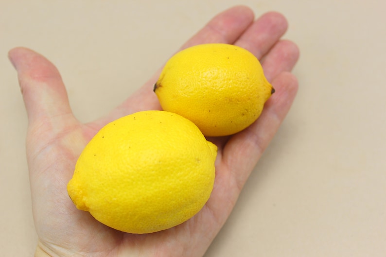 3d Whole Lemon Silicone Mold. Realistic 3d Lemon Fruit Mold. Epoxy ...