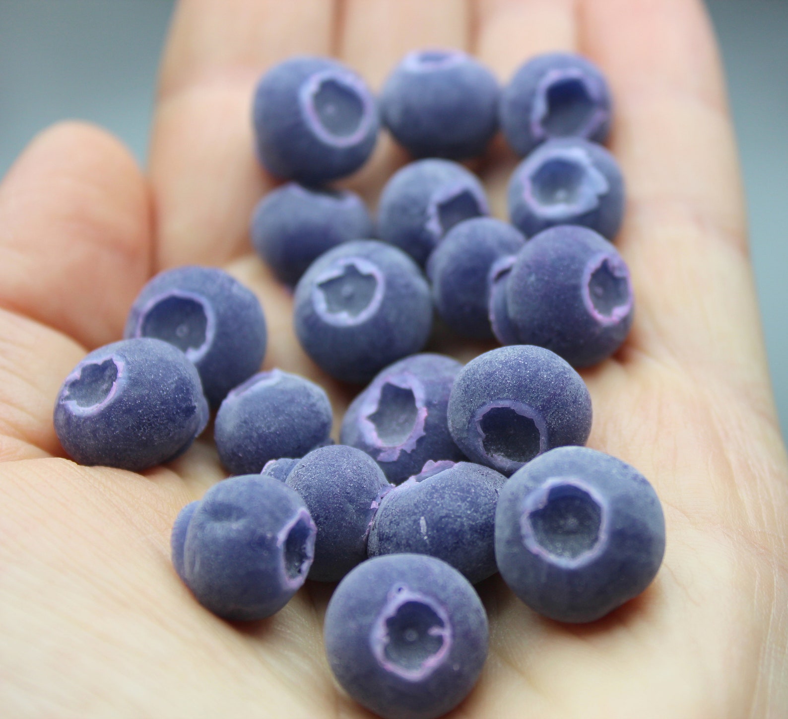 SMALL Blueberry 3D Silicone Mold. Whole Blueberry Mold. | Etsy