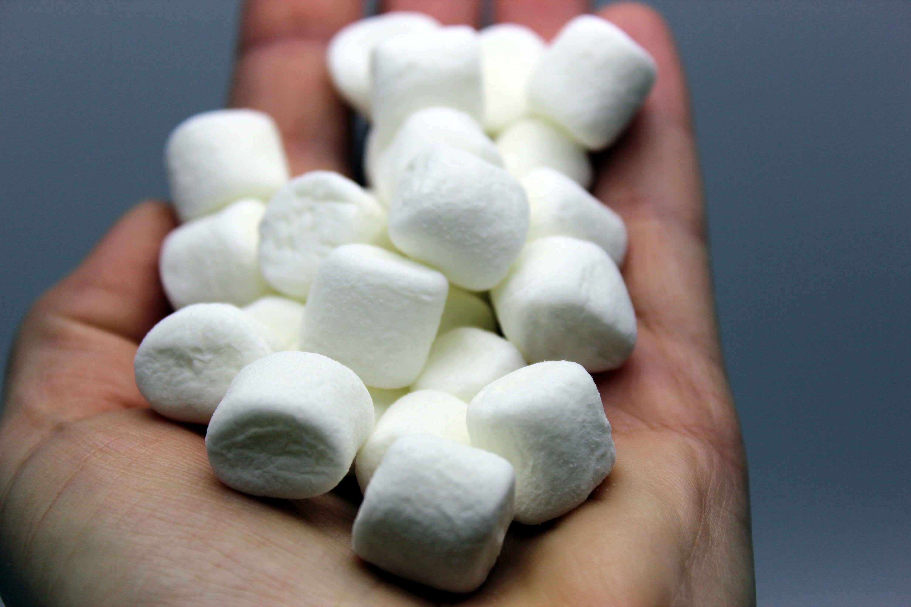 Marshmallow silicone mold. Realistic mini marshmallow Food | Etsy