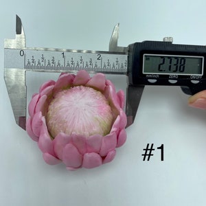 Protea Silicone Mold for Soap Epoxy Resin Chocolate Etc Silicone Mold ...