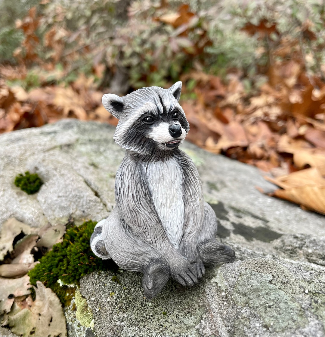 3d Raccoon Silicone Mold. 3d Raccoon Mold for Wax Soap Concrete Epoxy ...