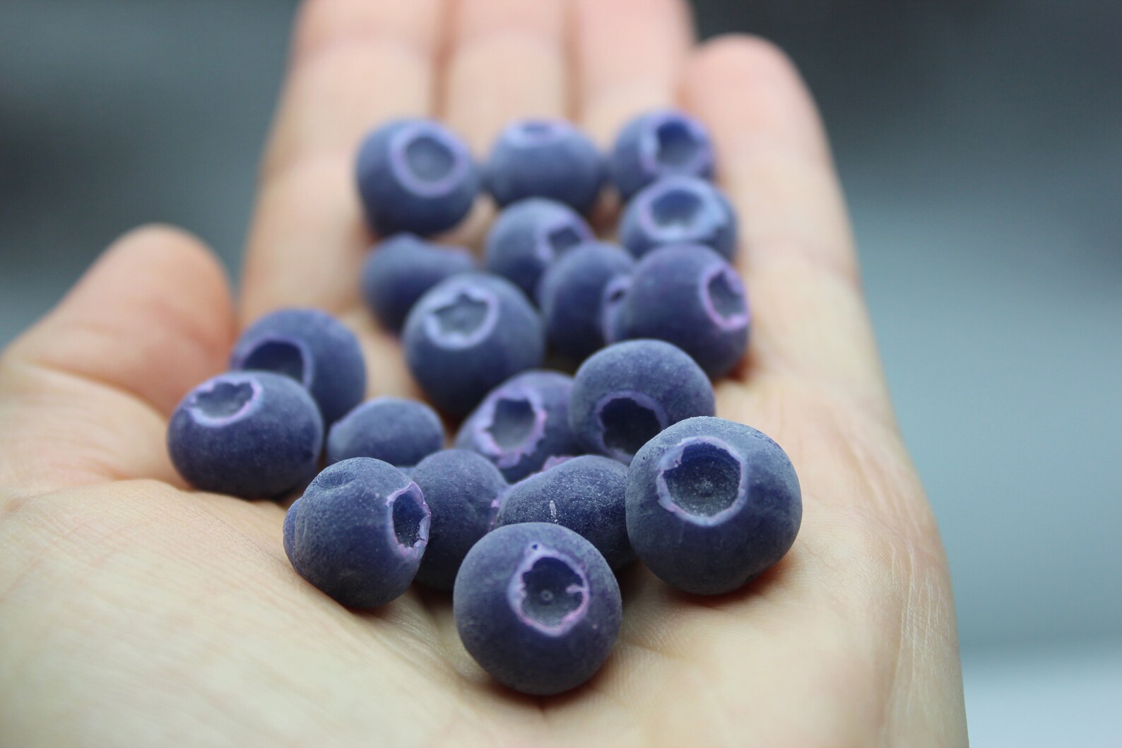 SMALL Blueberry 3D Silicone Mold. Whole Blueberry Mold. | Etsy