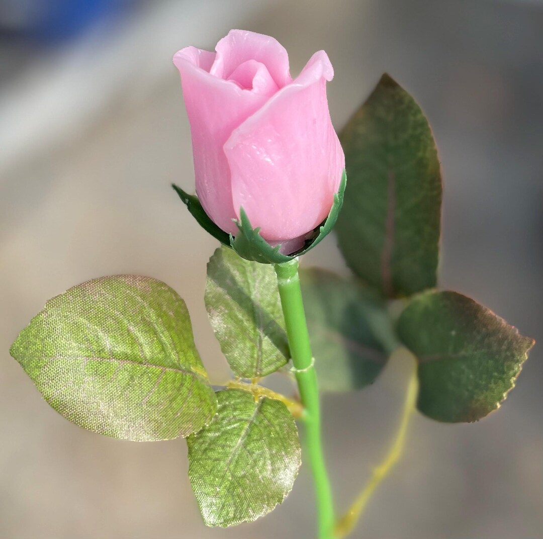 3d Mini Rose Bud Silicone Mold. Little Rose Bud Food Grade Silicone ...