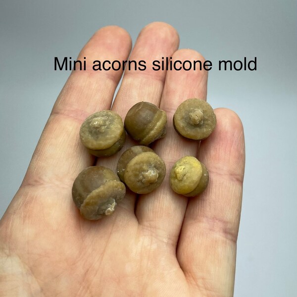 Acorn Mold - Etsy