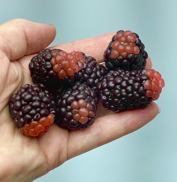 Large Blackberry 3D Silicone Mold. Realistic Berry Soap Mold. - Etsy