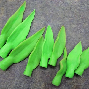 Tulip Leaves Silicone Mold. 3d Tulip Mold for Soap Arrangement - Etsy