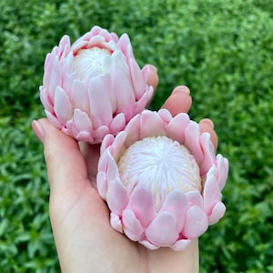 Protea Silicone Mold for Soap Epoxy Resin Chocolate Etc Silicone Mold ...