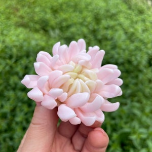 Chrysanthemum Aster Silicone Mold. Floral 3d Food Grade Mold for Zefir ...