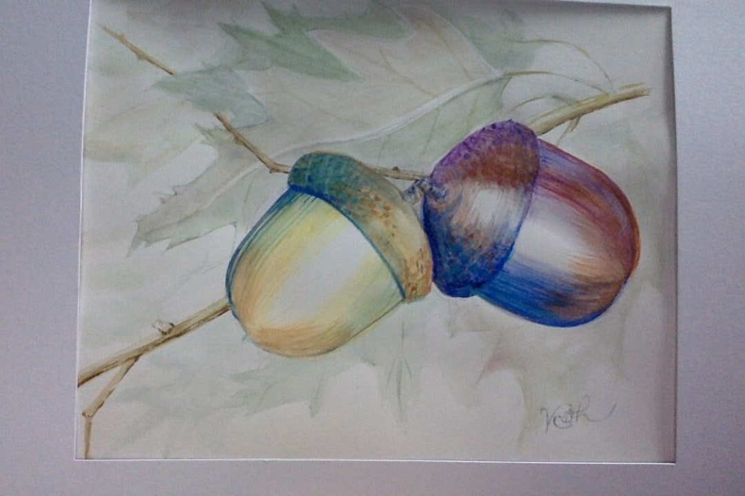 Big Colourful Acorns Watercolour - Etsy