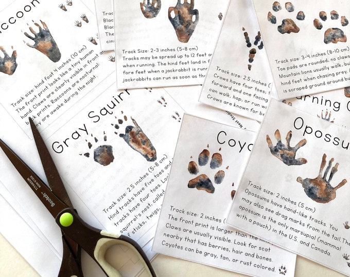 Animal Tracks Learning Cards Animal Tracks Facts Nature - Etsy