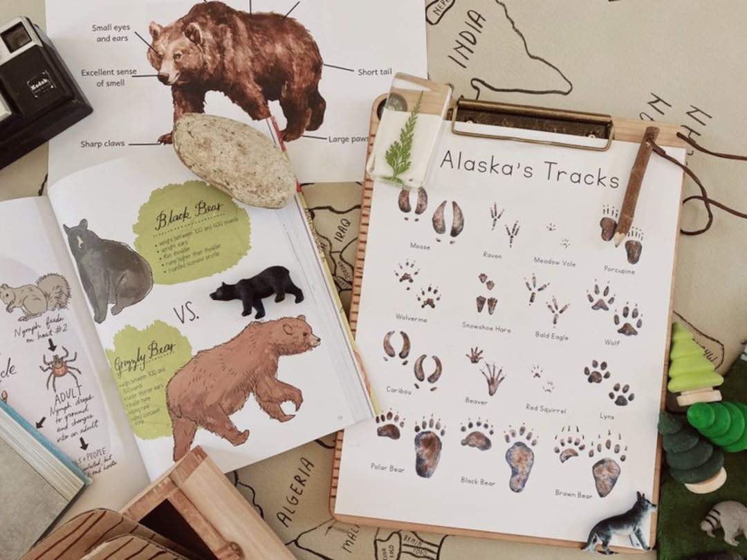 Animal Tracks of Alaska Print, Digital Download, Animal Tracks ...