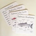 Salmon Life Cycle Cards- Digital Download, 3 Part Cards - Etsy