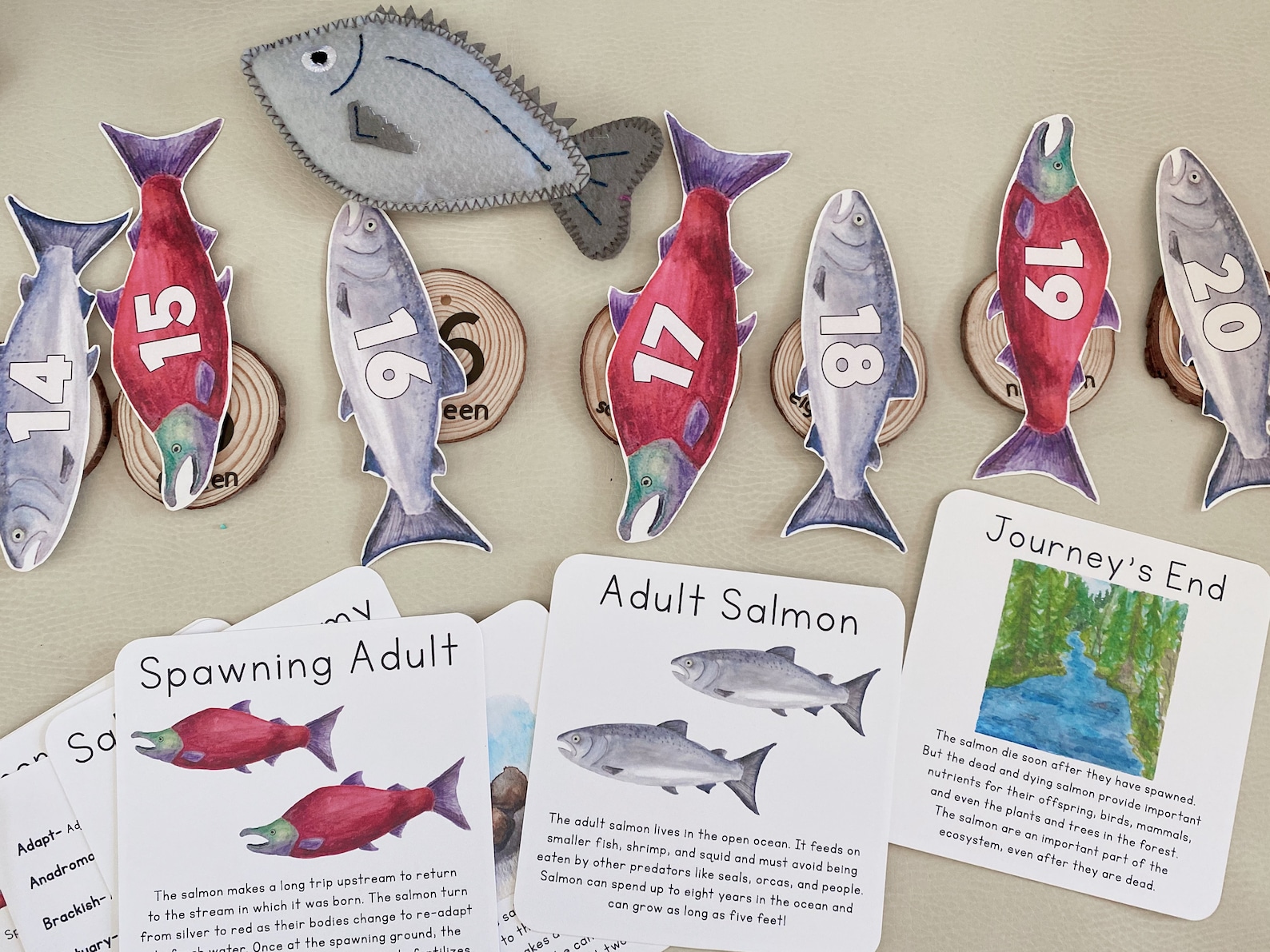 Salmon Life Cycle Cards- Digital Download, 3 Part Cards - Etsy
