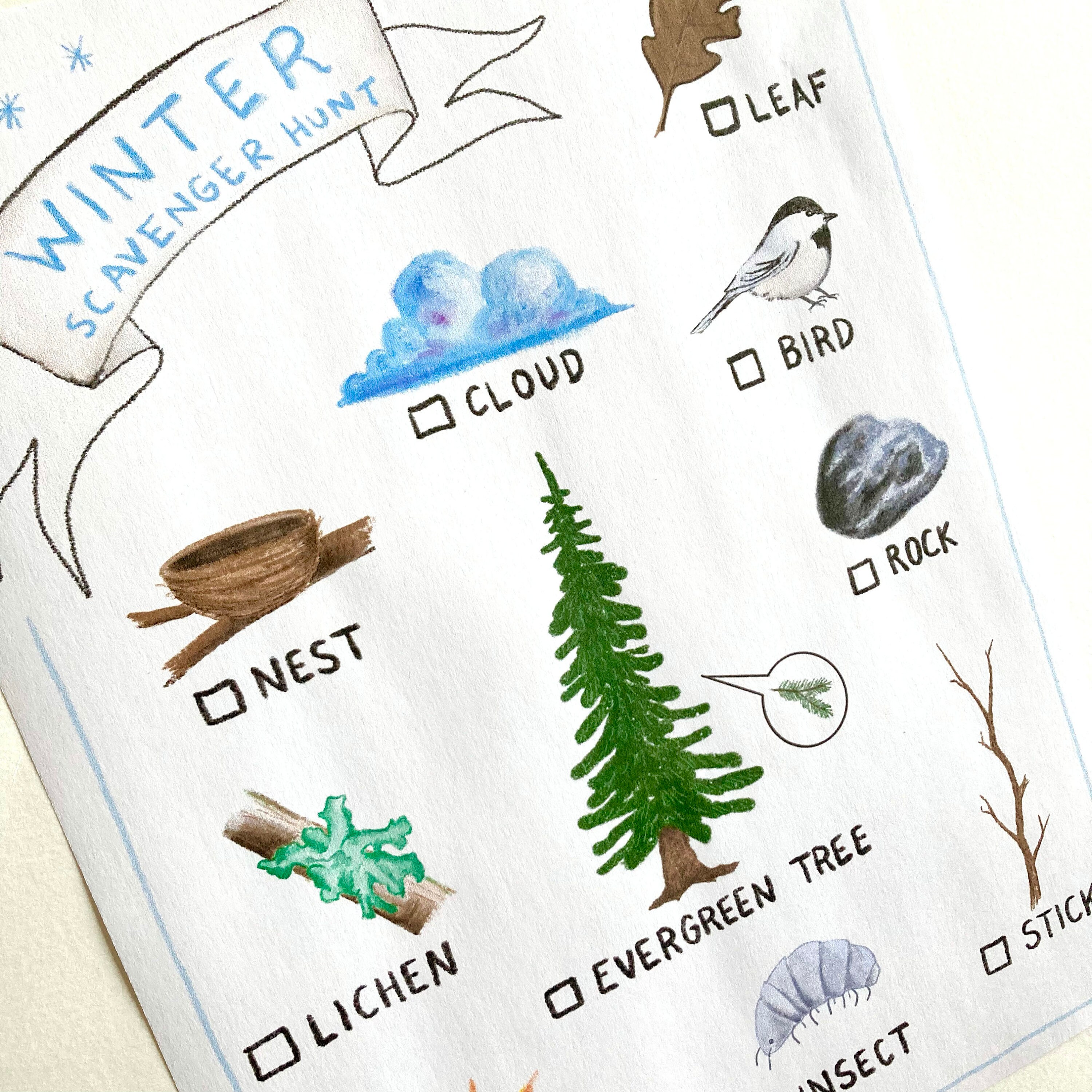 Winter Nature Scavenger Hunt Printable, Nature Scavenger Hunt, - Etsy