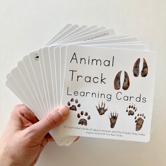 Animal Track Identification Cards