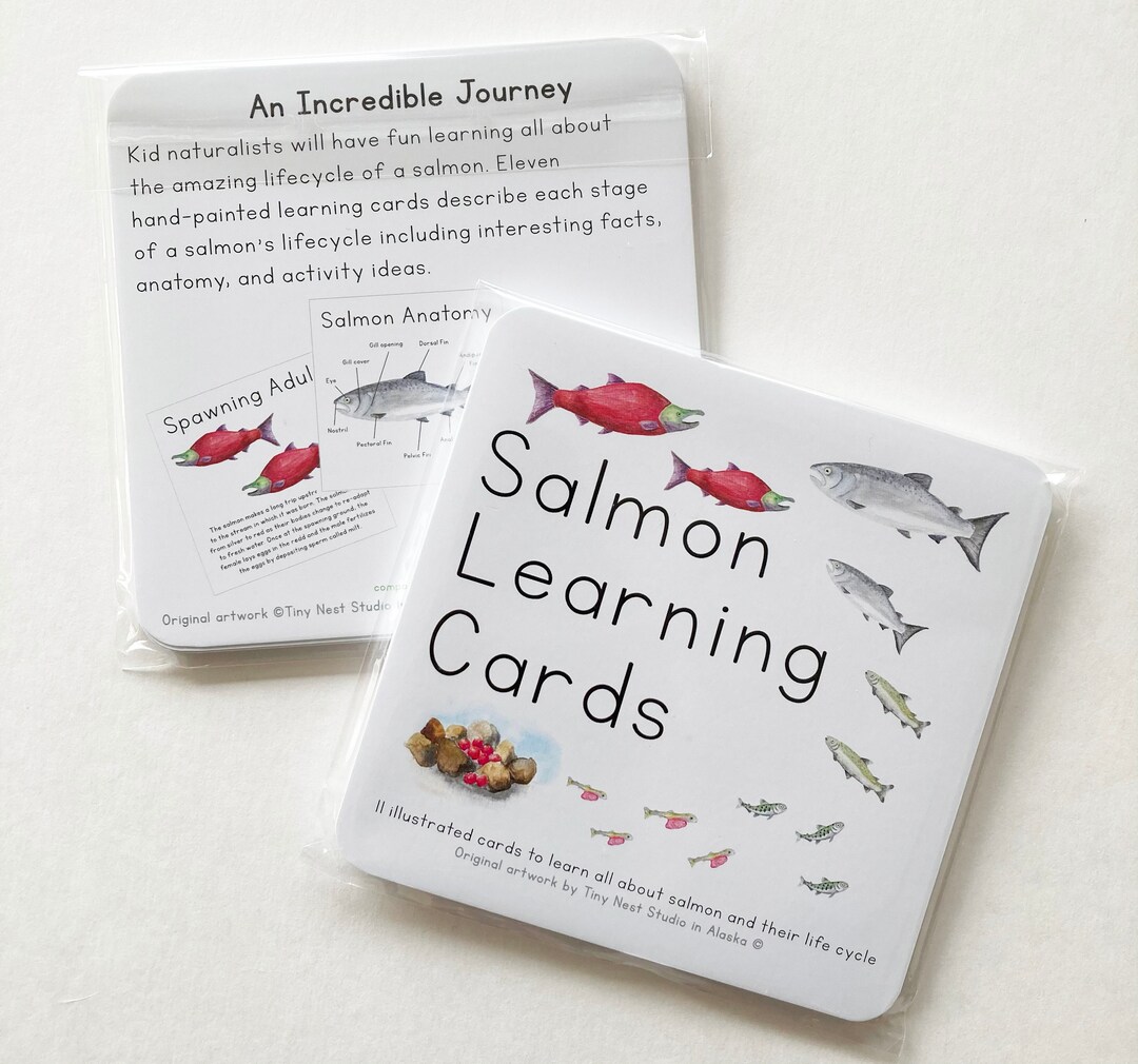 Salmon Life Cycle Cards, Life Cycle Study, Homeschool Science, Salmon ...
