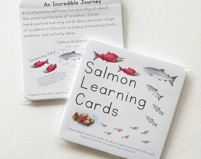 Salmon Life Cycle Cards, Life Cycle Study, Homeschool Science, Salmon ...