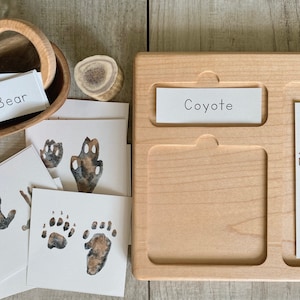 Animal Tracks Learning Cards | Animal Tracks Facts | Nature Study Cards ...