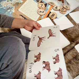 Alaska Counting Cards, Preschool Counting Cards, Homeschool Resource ...
