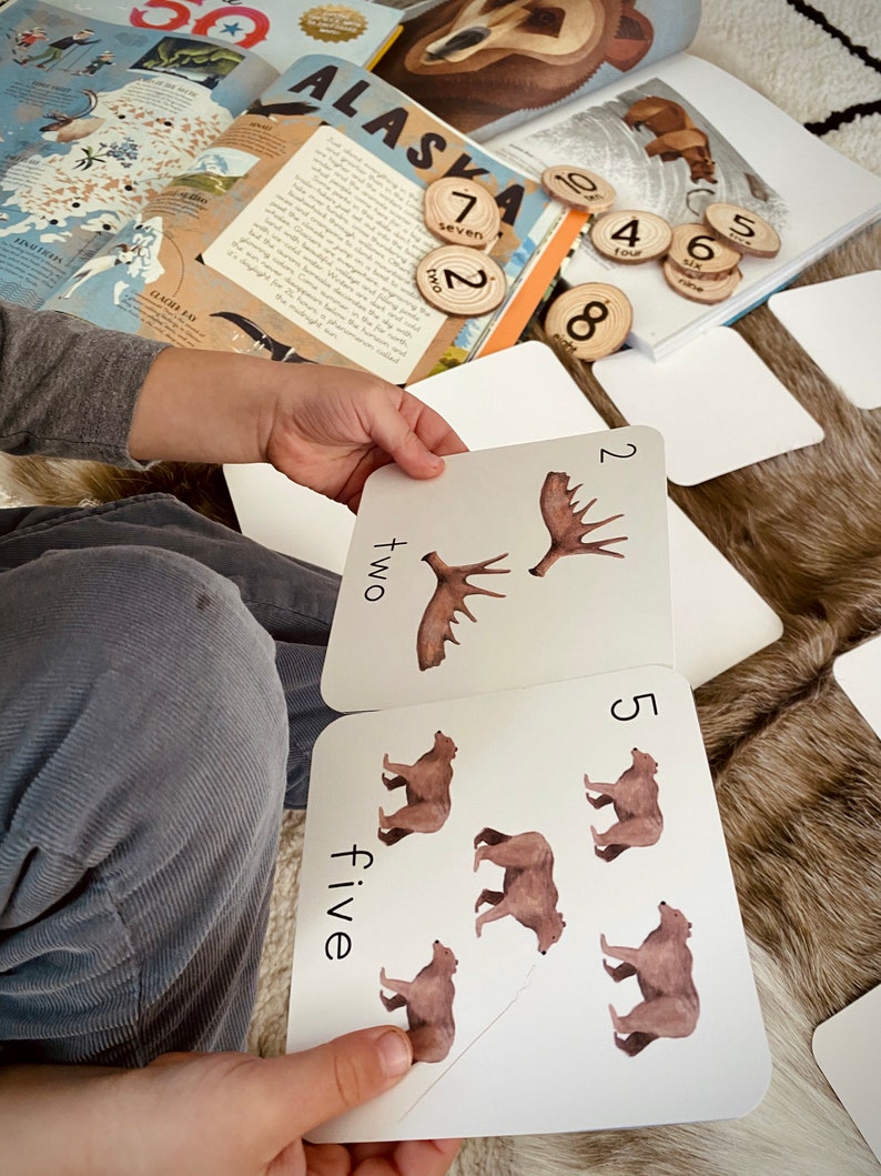 Alaska Counting Cards Preschool Counting Cards Homeschool | Etsy